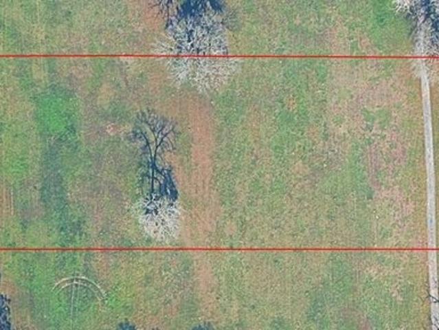 Brooktrail Dr, Houston, TX 77339