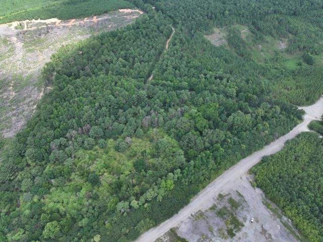 Brookwood Rd, Adger, AL 35444