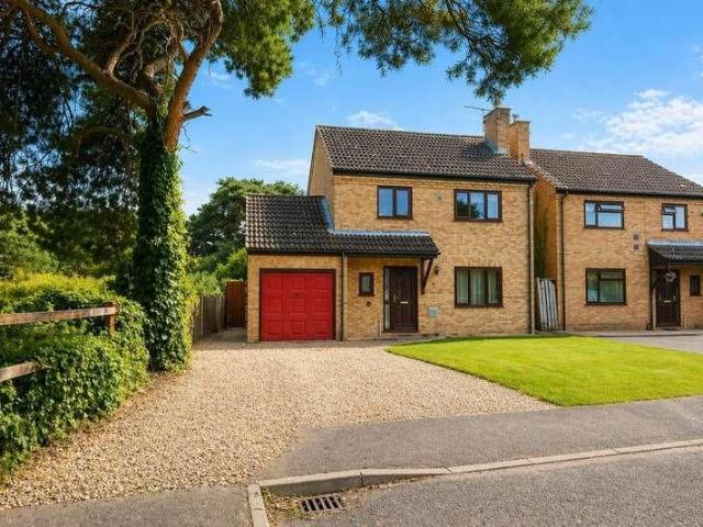 Broom Walk, Beck Row, IP28