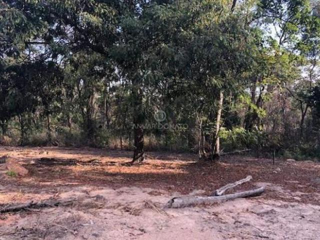 Braúnas Lote / Terreno à venda na Anuar Donato