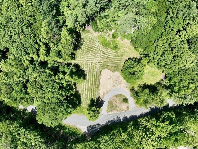 Bray Rd, Buckland, Plot For Sale