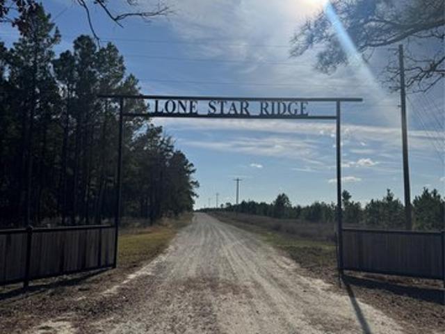 Brazos Pass Lots 35 & 36, Lovelady, TX 75851