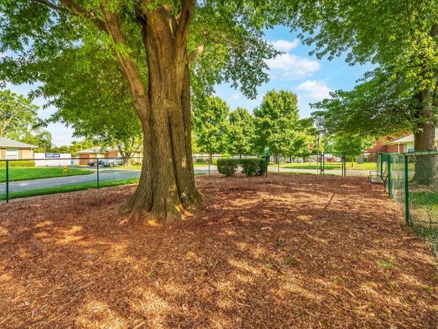 Bradford Commons Townhomes 1 Bedroom Apartment for Rent at 1811 Lookout Lane, Charlotte, NC 28205 Windsor Park