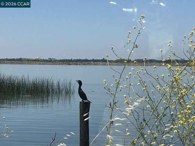 Bradford Island Rd, Oakley, CA 94561