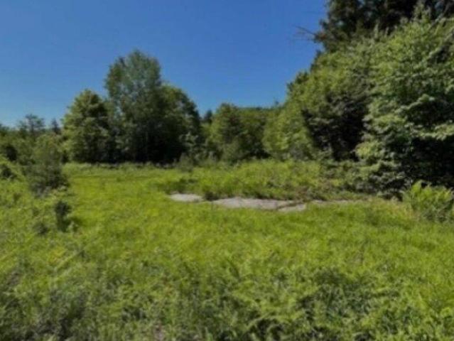 Bradford NH 03221 104650317