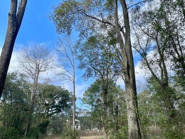 Bradham Rd, Charleston, SC 29412