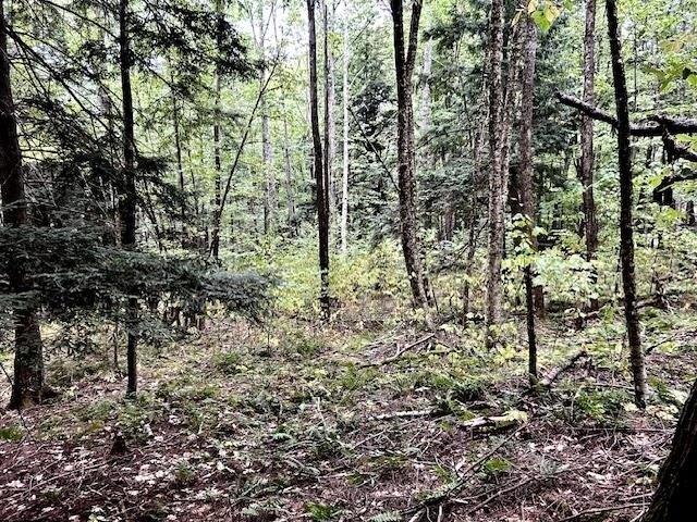 Bradley Hill Rd Lot,haverhill, Plot For Sale