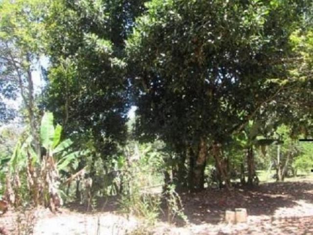 Bragança Paulista grande área 46.123 m² com 2 casas abaixo da avaliação