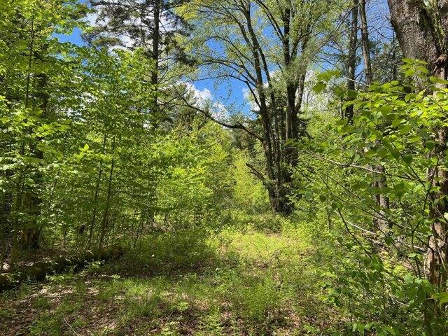 Bragg Hill Rd Lot,fayston, Plot For Sale