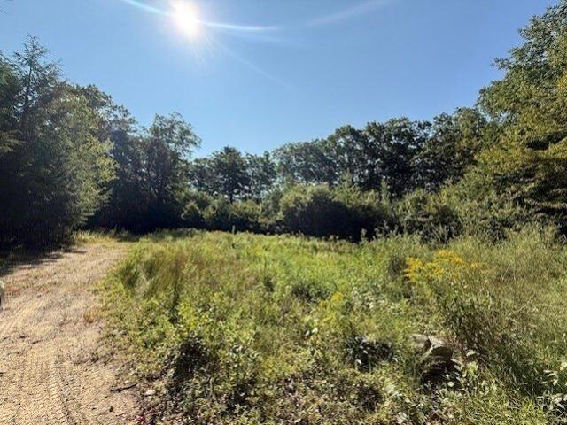 Bragg Hill Rd, Westminster, Plot For Sale