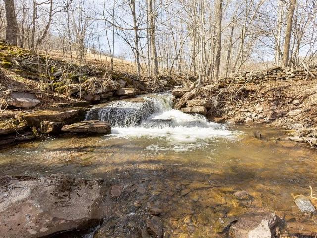 Bragg Hollow Road