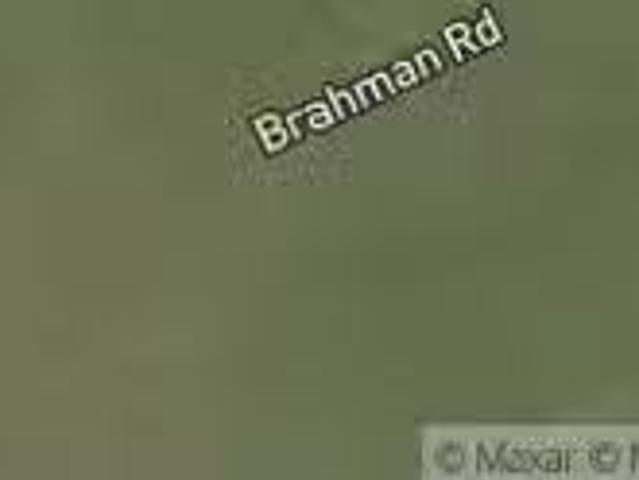 Brahman Cir
