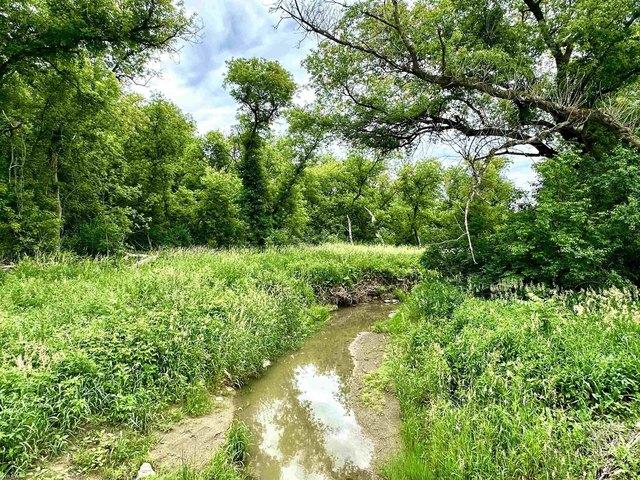 Braidwood Rd Parcel 3, Riley, MI 48041
