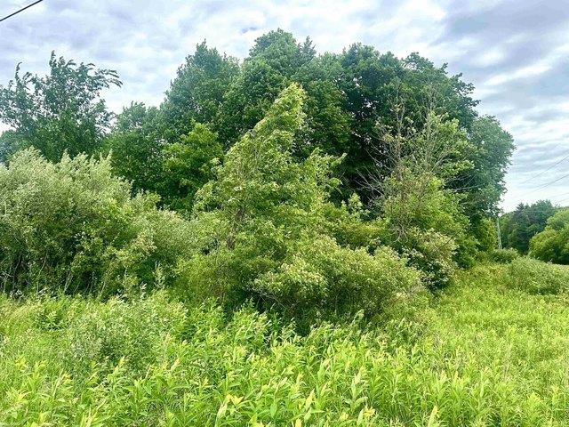 Braidwood Rd Parcel 5, Riley, MI 48041