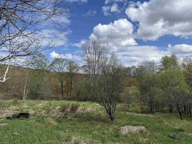 Braintree VT 05060 104568026