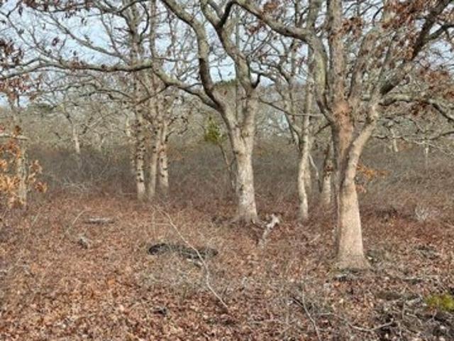 Bramble Path, West Tisbury, Plot For Sale
