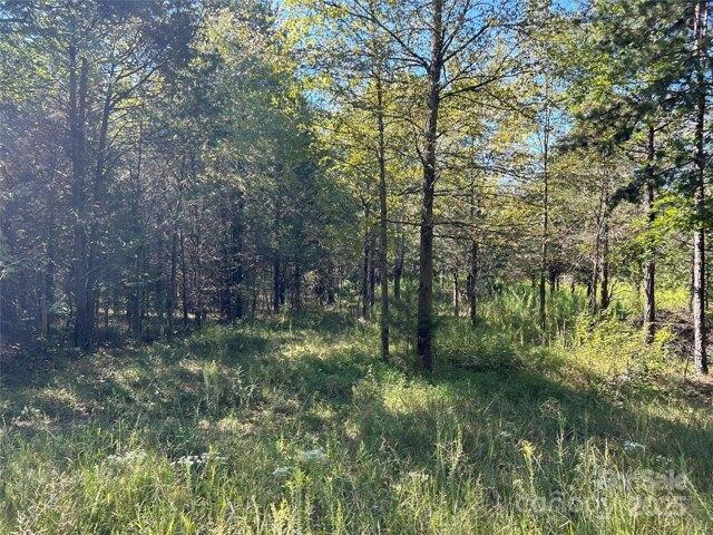Bramblewood Ln, Mocksville, Plot For Sale