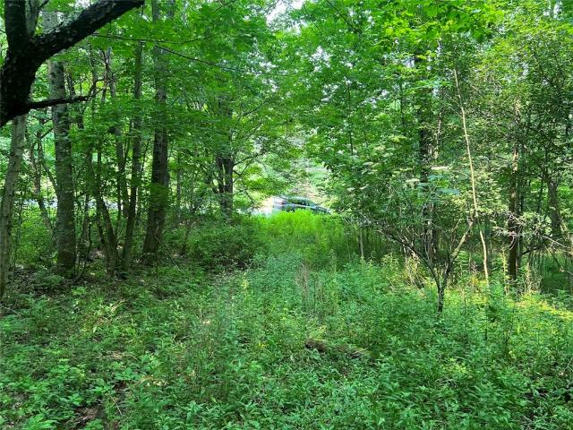 Bramley Mountain Road