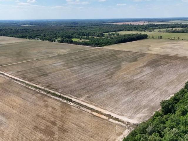 Bran Rd, Oak Grove, LA 71263