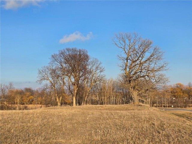 Branch Creek Rd Lot 8, Detroit Lakes, MN 56501