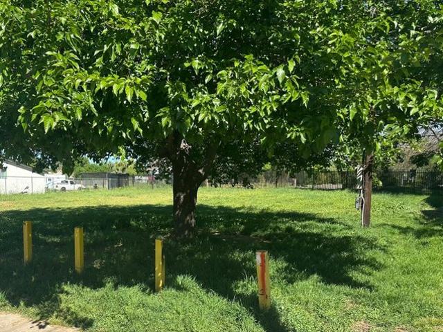 Branch, Sacramento, CA 95815