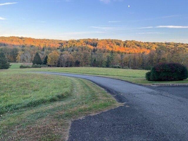 Branch Rd, Peapack Gladstone Boro, Plot For Sale