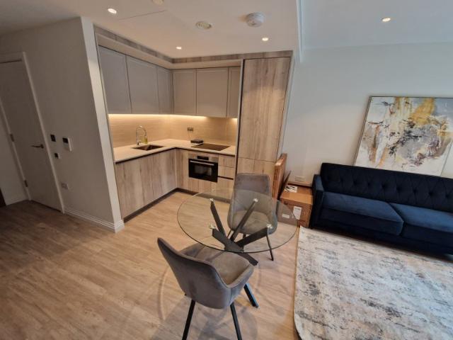 Brand New 1B Apartment