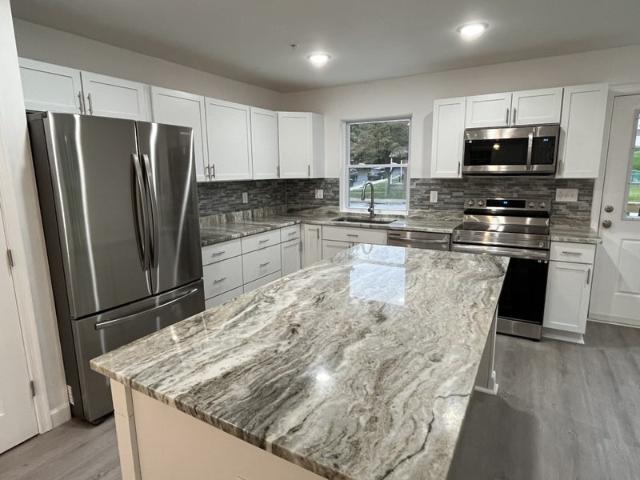 Brand new home with all the amenities in 21212