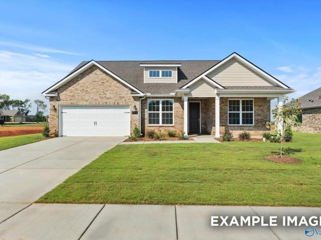 Brand New Home in Decatur, AL. 4 Bed, 3 Bath