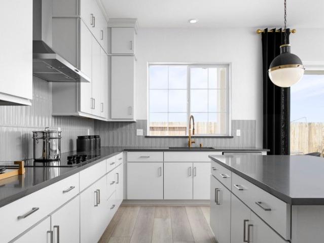 Brand New Home in Manteca, CA. 4 Bed, 3 Bath