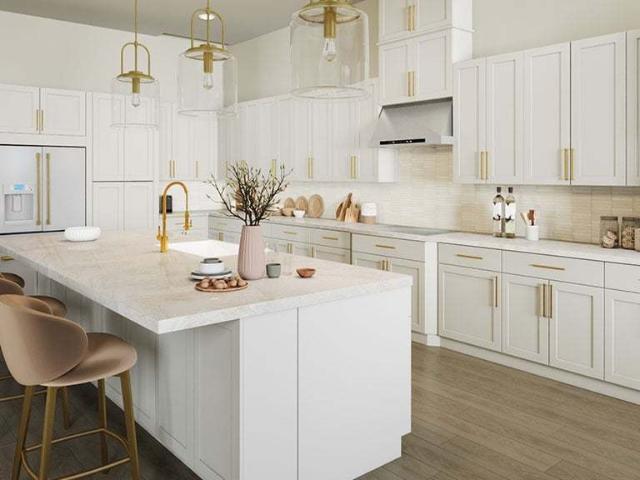 Brand New Home in Naples, FL. 4 Bed, 5 Bath