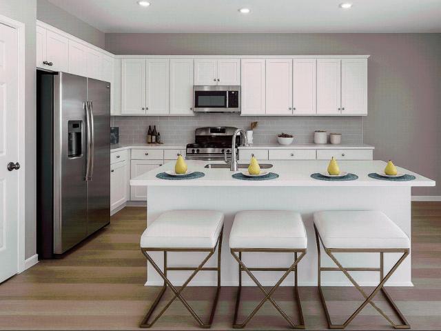 Brand New Home in Rolesville, NC. 3 Bed, 2 Bath