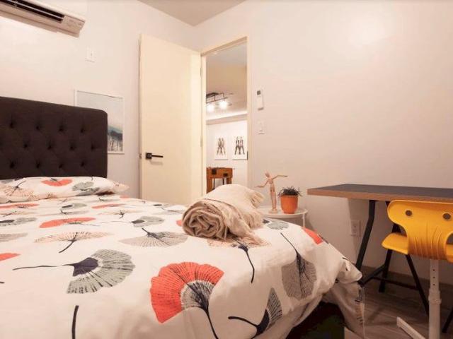 Brand New Huge Duplex in Williamsburg