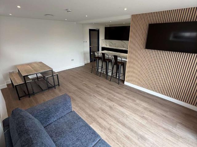 Brand New Luxury Hmo BH12 Room 1