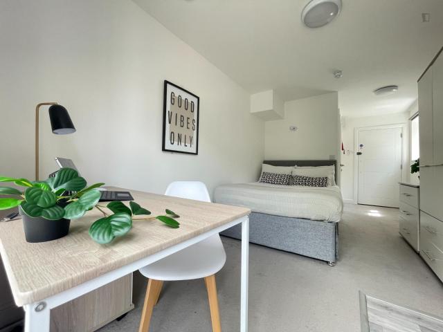 Brand new studio flat in Saint Mary Has an Apartment