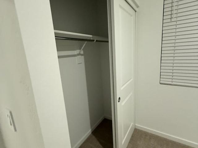 Brand new room for rent