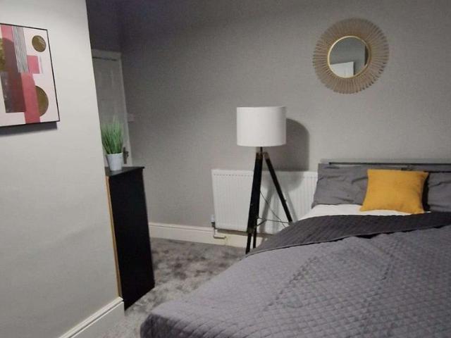 Brand new Refurbished Ensuites for Professionals Room 1