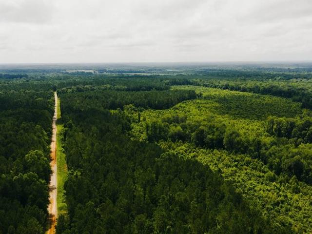 Brand Rd, Newton, MS 39345