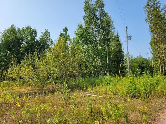 Brandon Road