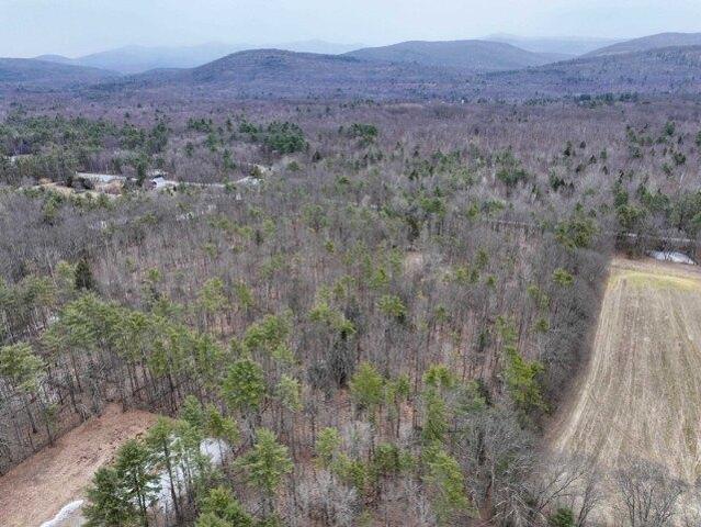 Brandon VT 05733 LS102594968