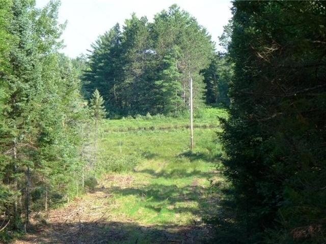 Brandt Rd, Hayward, WI 54843