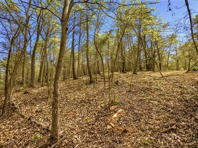 Brandywine Dr Lot 36, Westminster, SC 29693