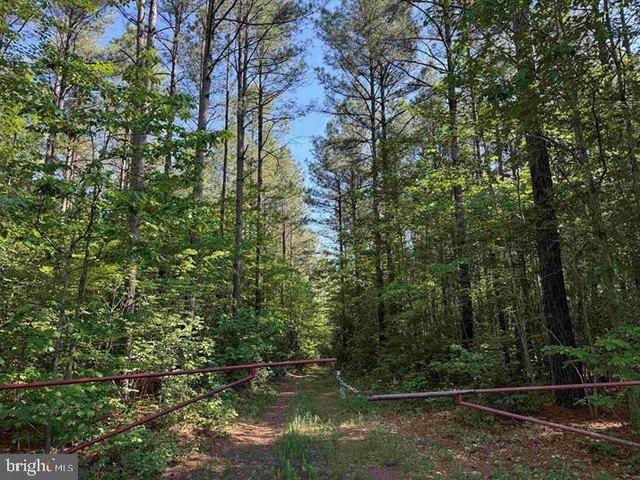 Brandy Creek Rd, Lawrenceville, VA 23868