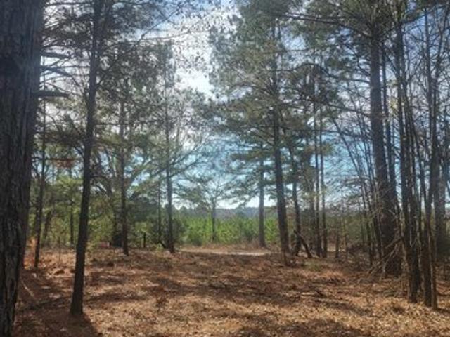 Brandy Dr, Diana, TX 75640