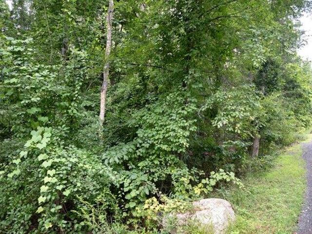 Branford CT 06405 LS102030182