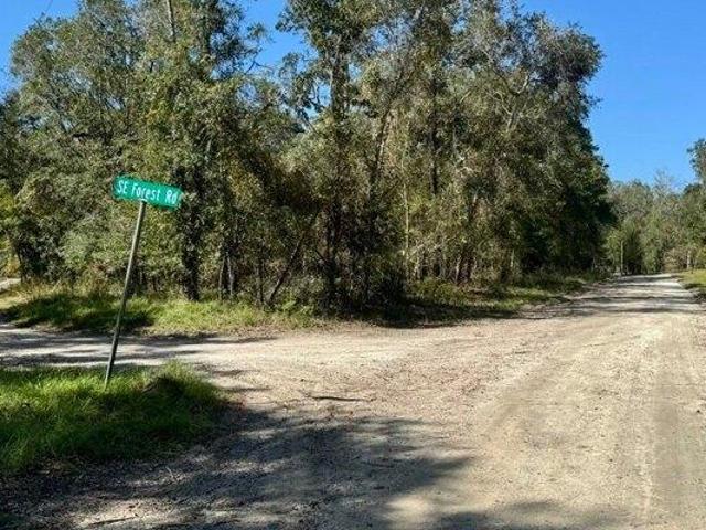 Branford FL 32008 88265160