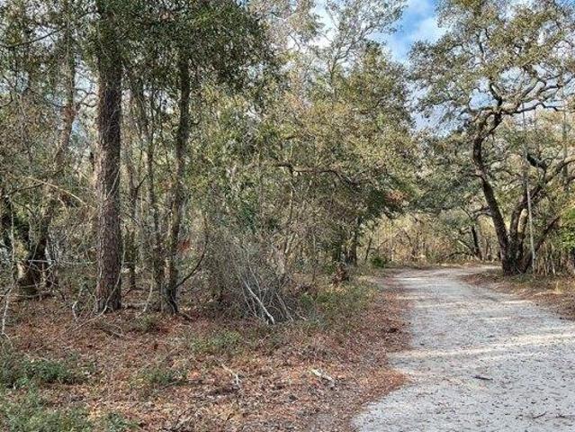 Branford FL 32008 88210207