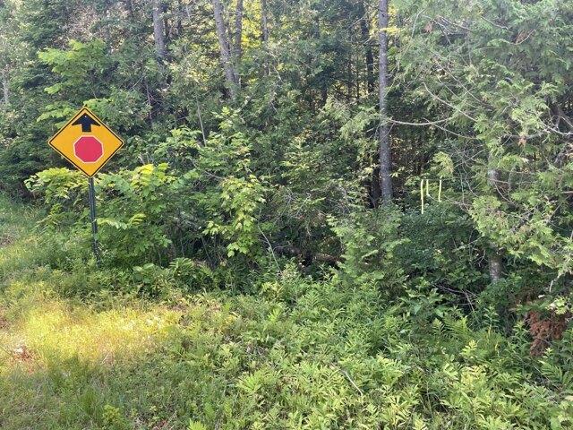 Brann Rd Lot, Levant, Plot For Sale