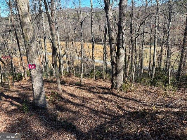 Brasstown Trl Lot 18, Warne, NC 28909