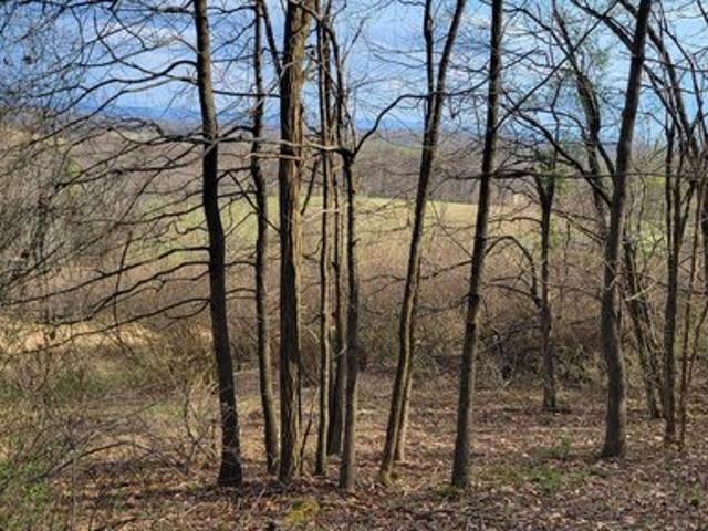 Brewer Rd Lot 8, Morgantown, WV 26508